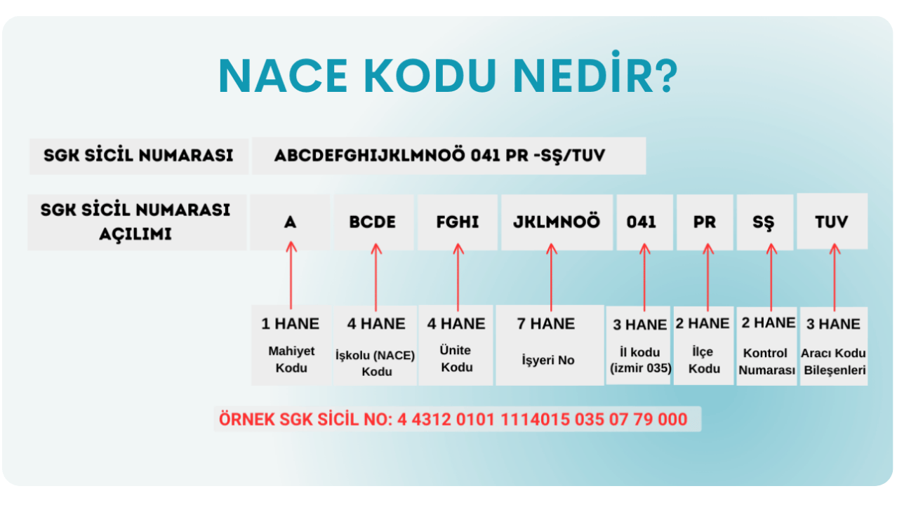 E-Ticaret NACE Kodu Nedir? Güncel NACE Kodları 2025 Listesi